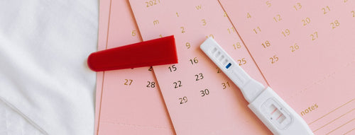 Premama Fertility Support for Her | Vegan Fertility Supplement ...